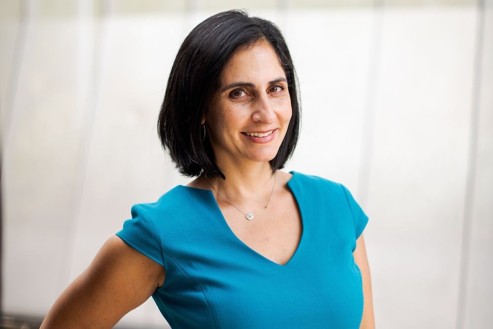 About / Pardis Mahdavi