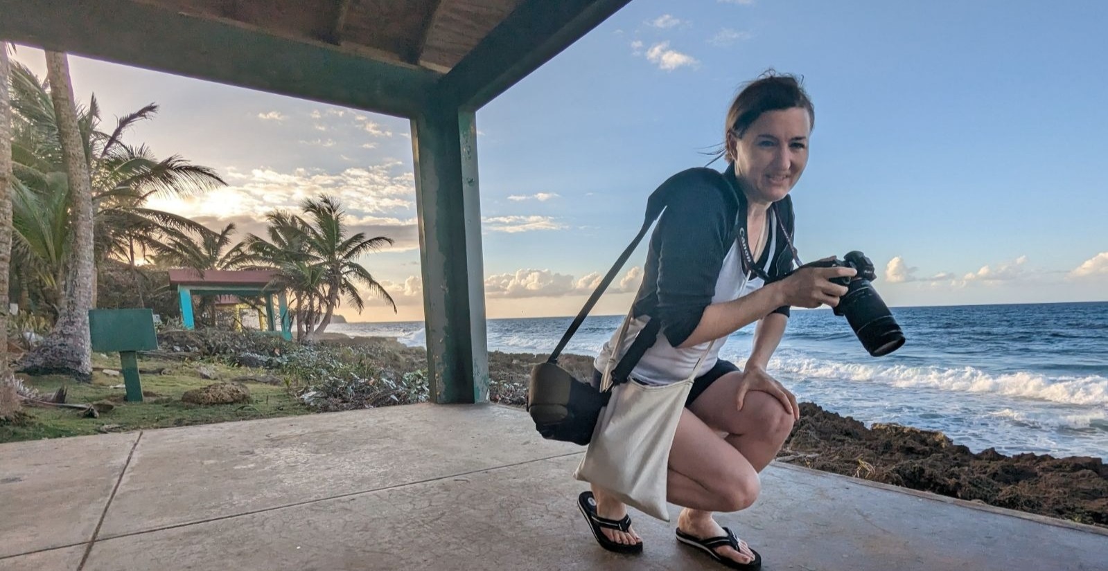 Freelance Writer and Journalist - Anna Laird Barto