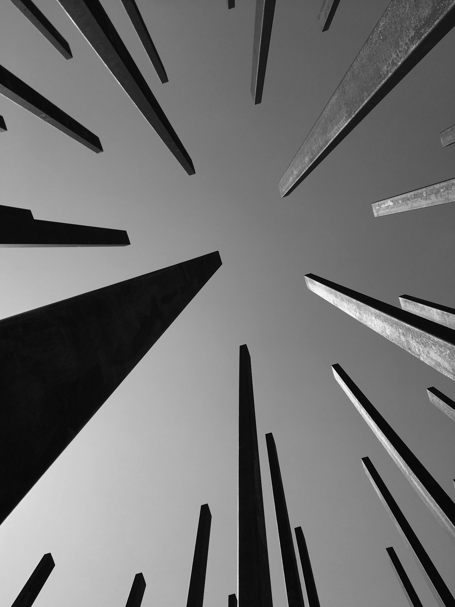 Projects - Meredith Brown Portfolio