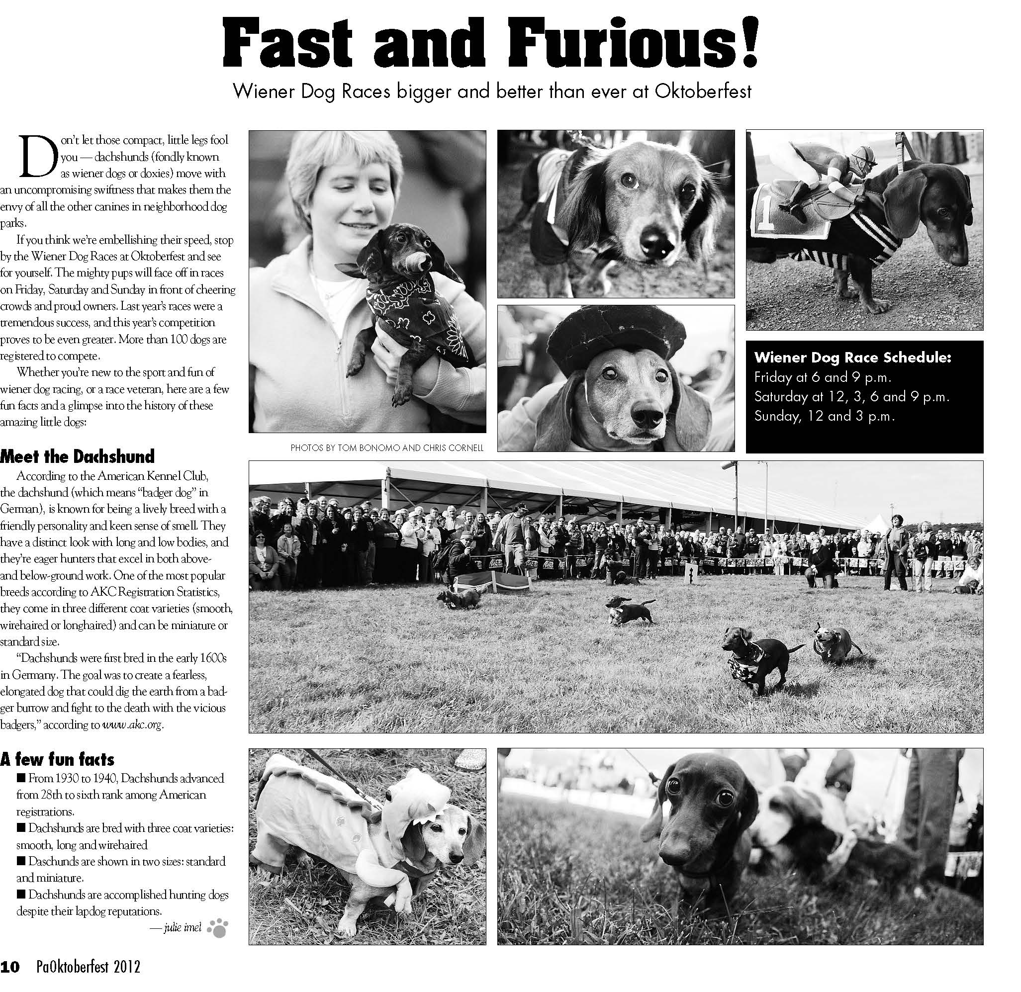 Feature Writing / Julie D. Imel