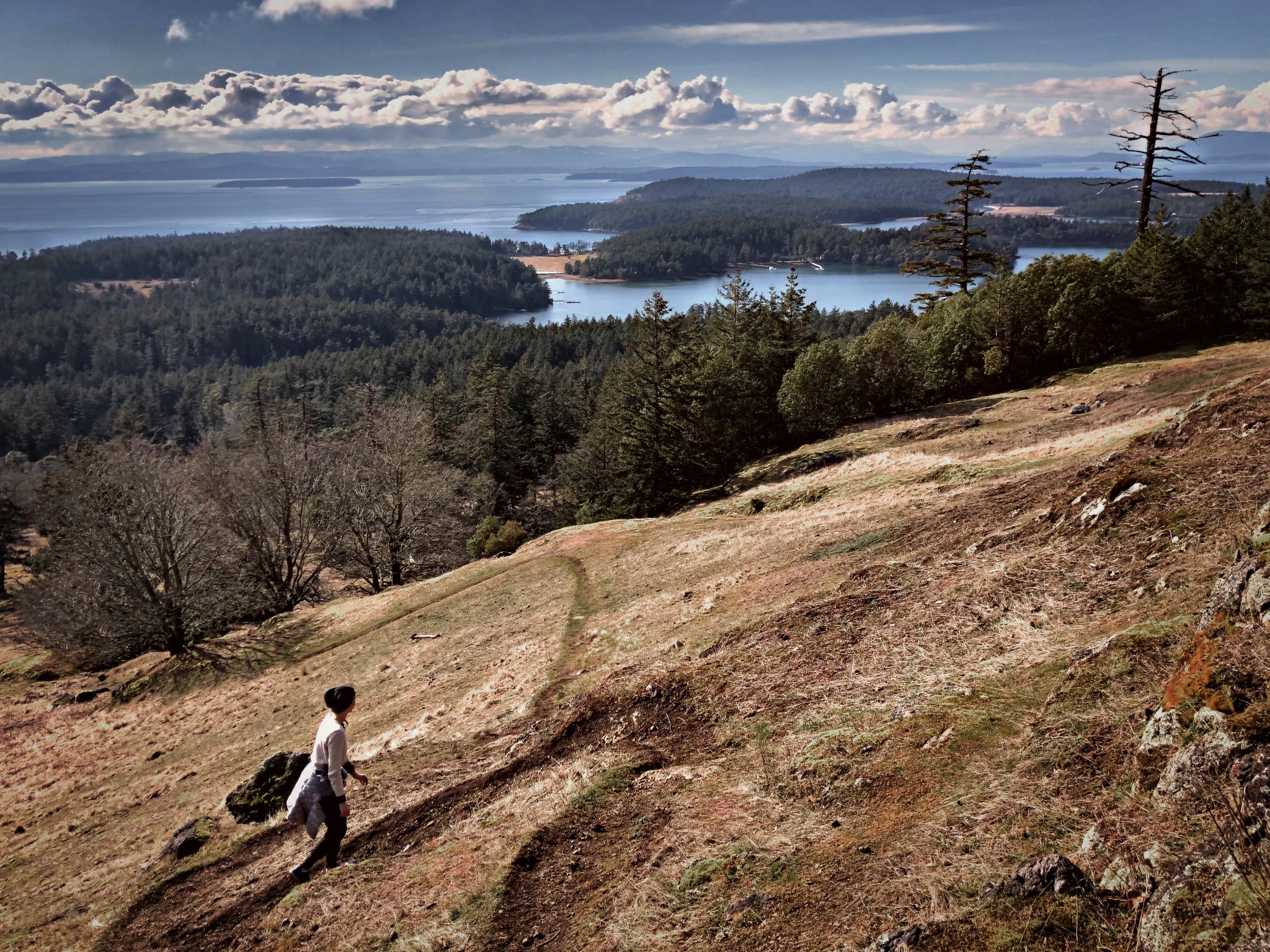 Home / HAYLEY DAY / REPORTER