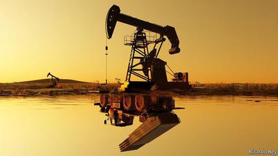 Latest stories / Matthieu Favas