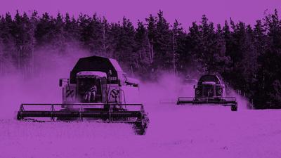 Latest stories / Matthieu Favas