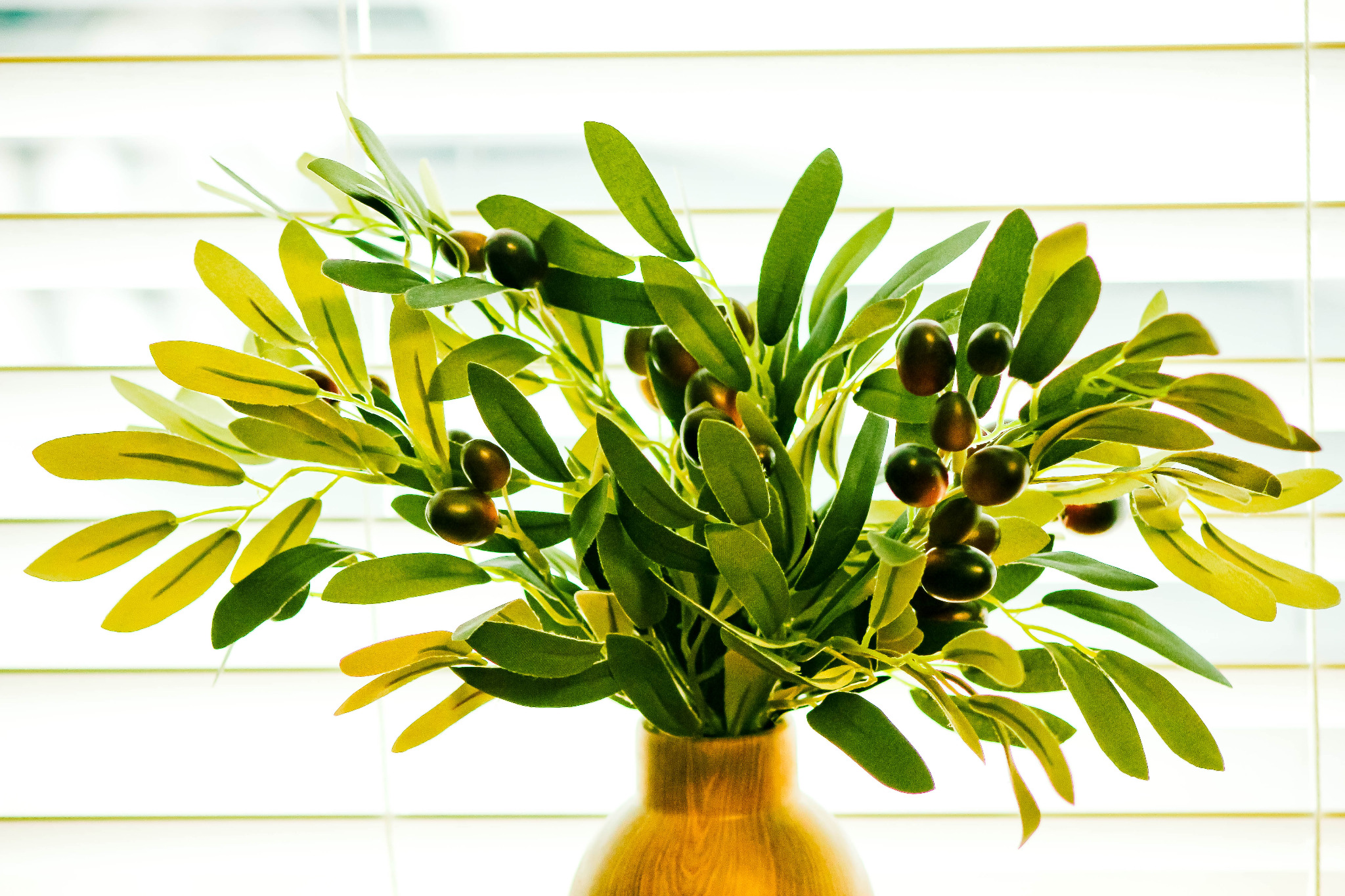 Olive Benefits - Olive Benefits | Door County, WI