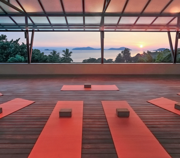 Home / Alexandra Carlton