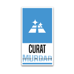 Servicii - Curat Murdar